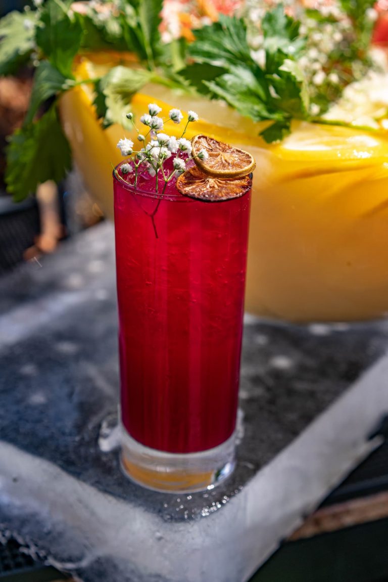 16 receitas de drinks com vodka para testar