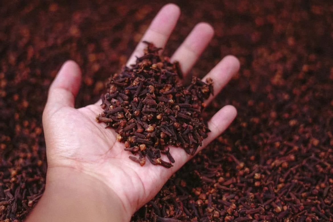 13 tipos de temperos: como utilizá-los nas suas receitas